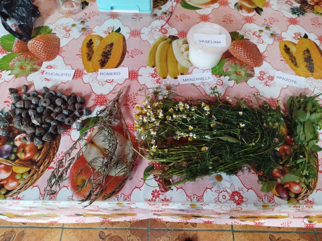 La sabiduría ancestral de las plantas medicinales en Guate – Buenas ...